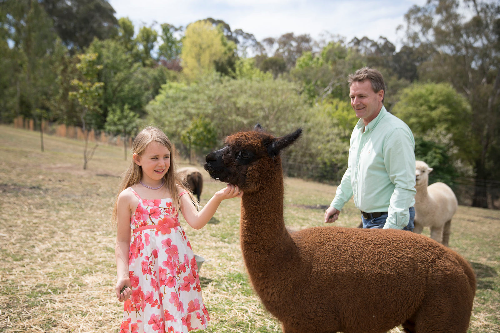 The Farm – Bilpin Cider