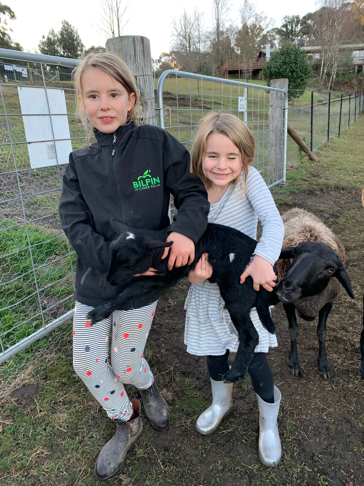 The Farm – Bilpin Cider